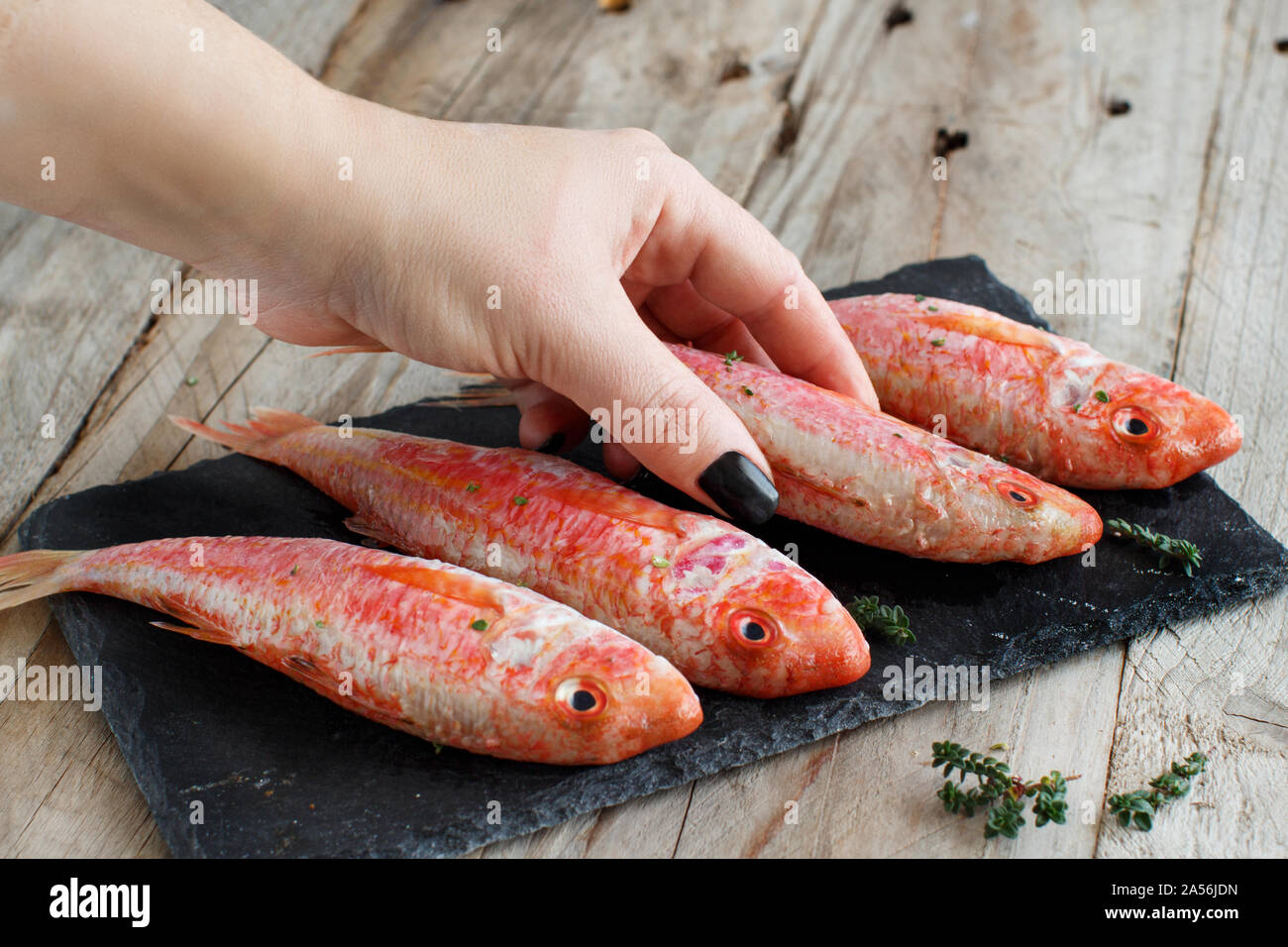 Surmullet fish hi-res stock photography and images - Alamy