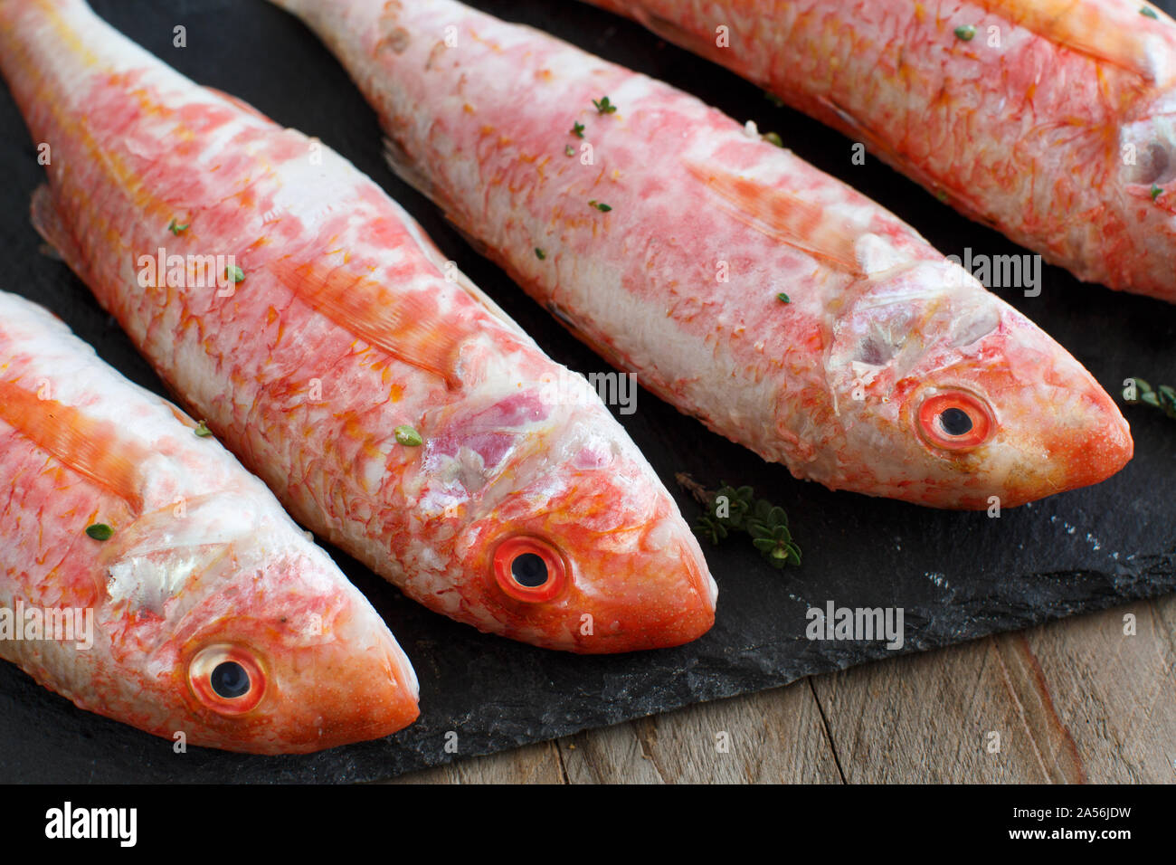 Surmullet fish hi-res stock photography and images - Alamy