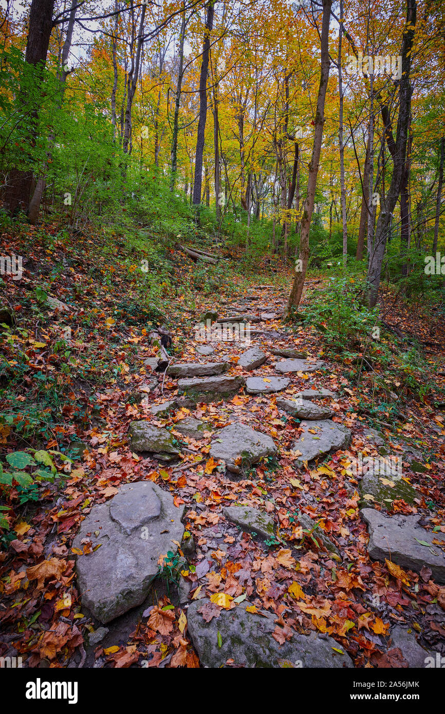 Hiking Trail with Fall Leaves Stock Photo - Alamy