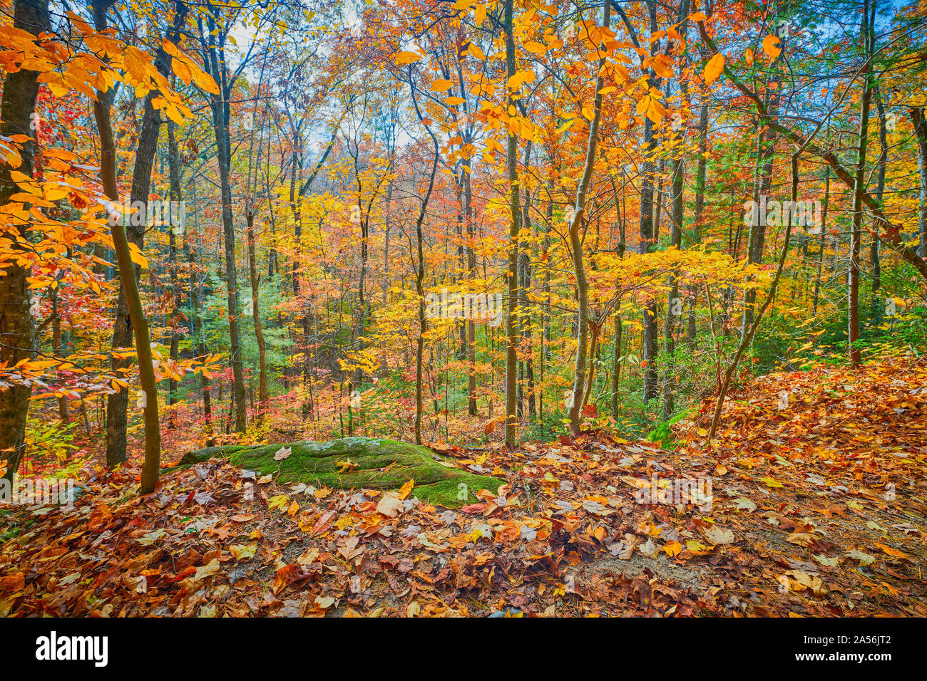 Fall foliage along the south fork hi-res stock photography and images ...