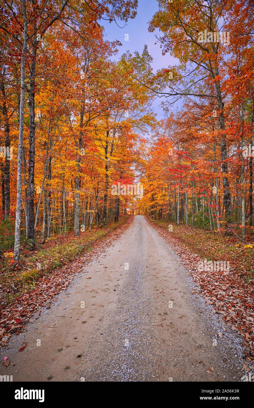 Wallpaper Road Trail Leaves Mount Nebo: Bench Road Trail Autumn Pics