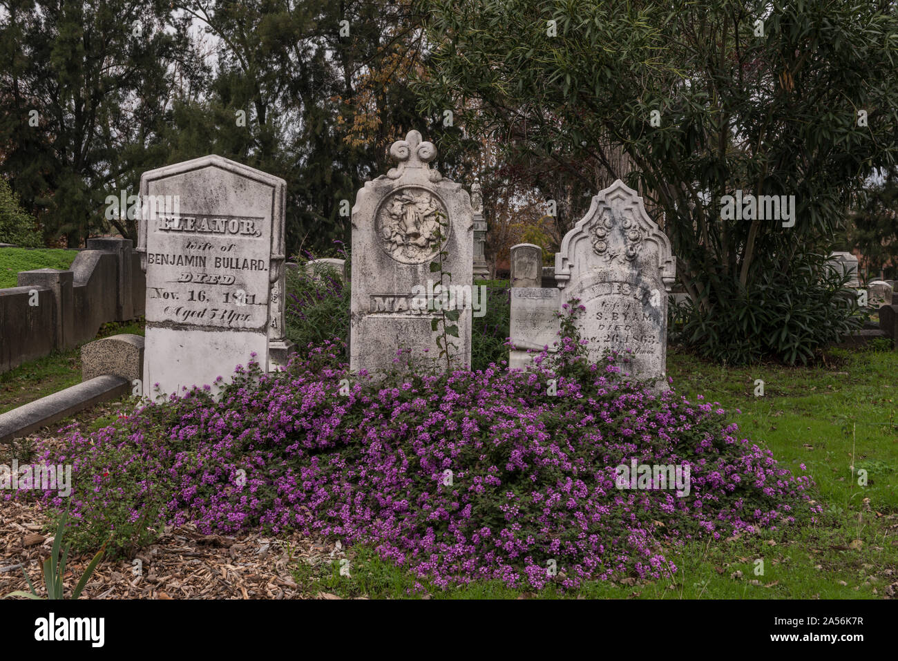 View of Sacramento California's Old City Cemetery Stock Photo - Alamy