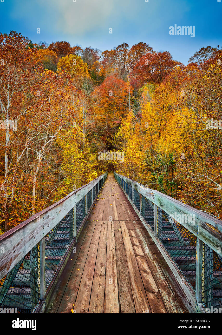 Walk Bridge with Fall Leaves Stock Photo - Alamy