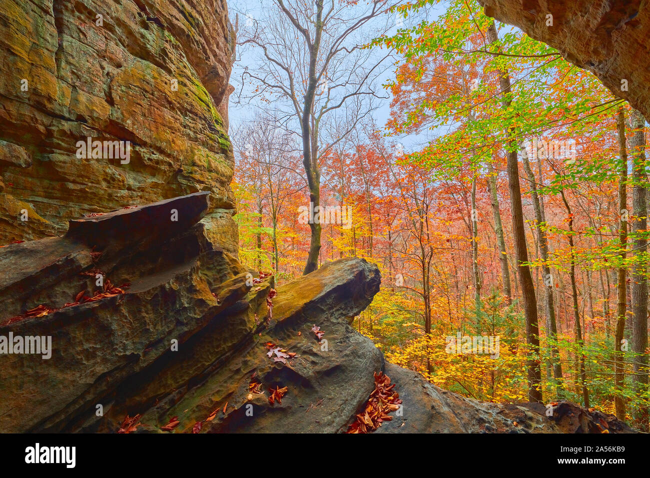 Fall Foliage from Crack in the Rocks, KY Stock Photo - Alamy