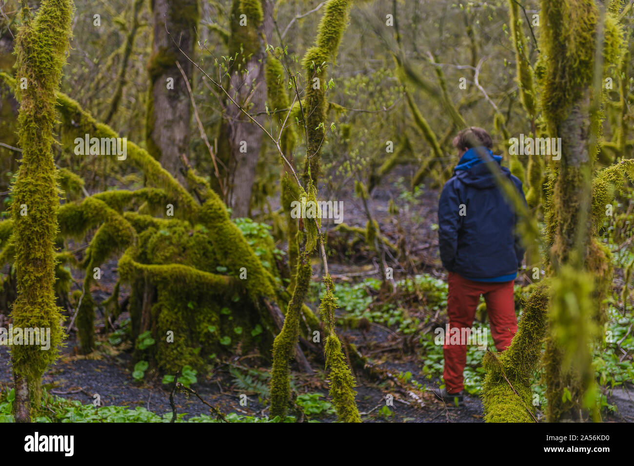 Full length paddling hi-res stock photography and images - Alamy