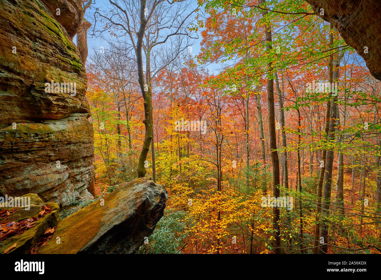 Fall Foliage from Crack in the Rocks, KY Stock Photo - Alamy
