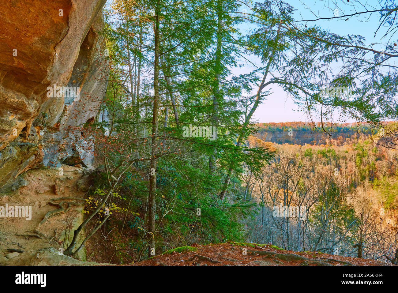 Red River Gorge, KY Stock Photo - Alamy