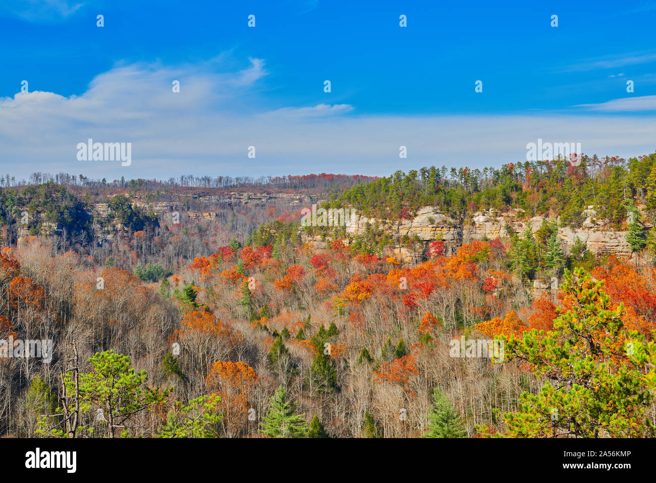 Red River Gorge, KY Stock Photo - Alamy