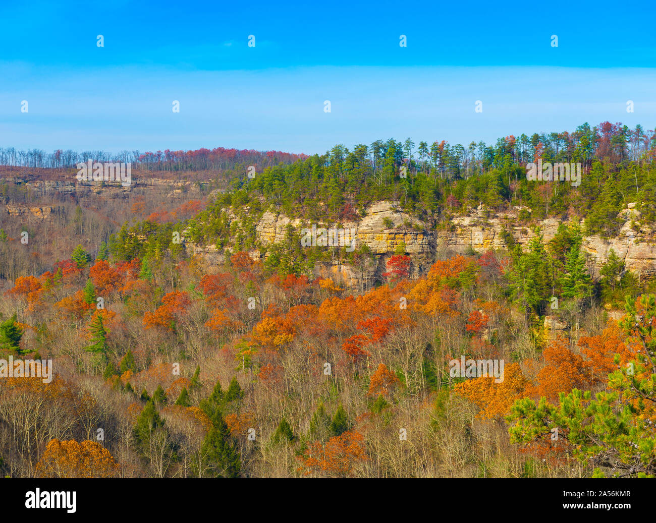 Fall at Red River Gorge, KY Stock Photo - Alamy