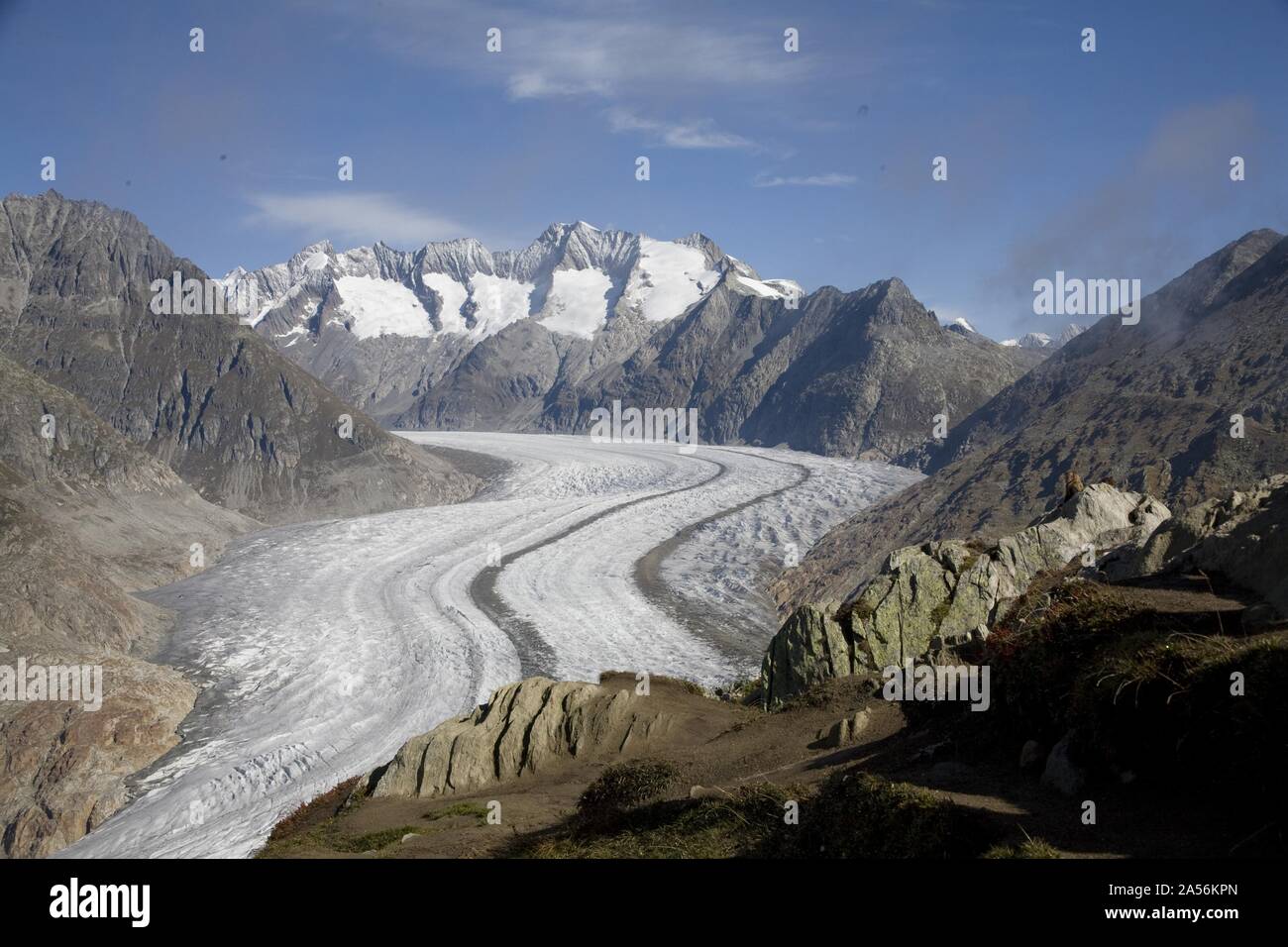 Jungfraujoch aletschgletscher panorama hi-res stock photography and ...