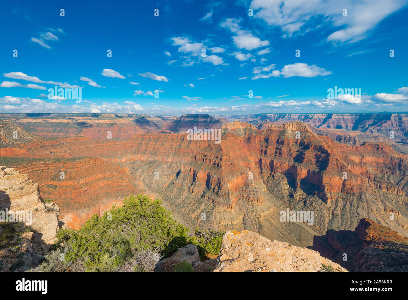 Point Sublime, Grand Canyon National Park, AZ Stock Photo - Alamy