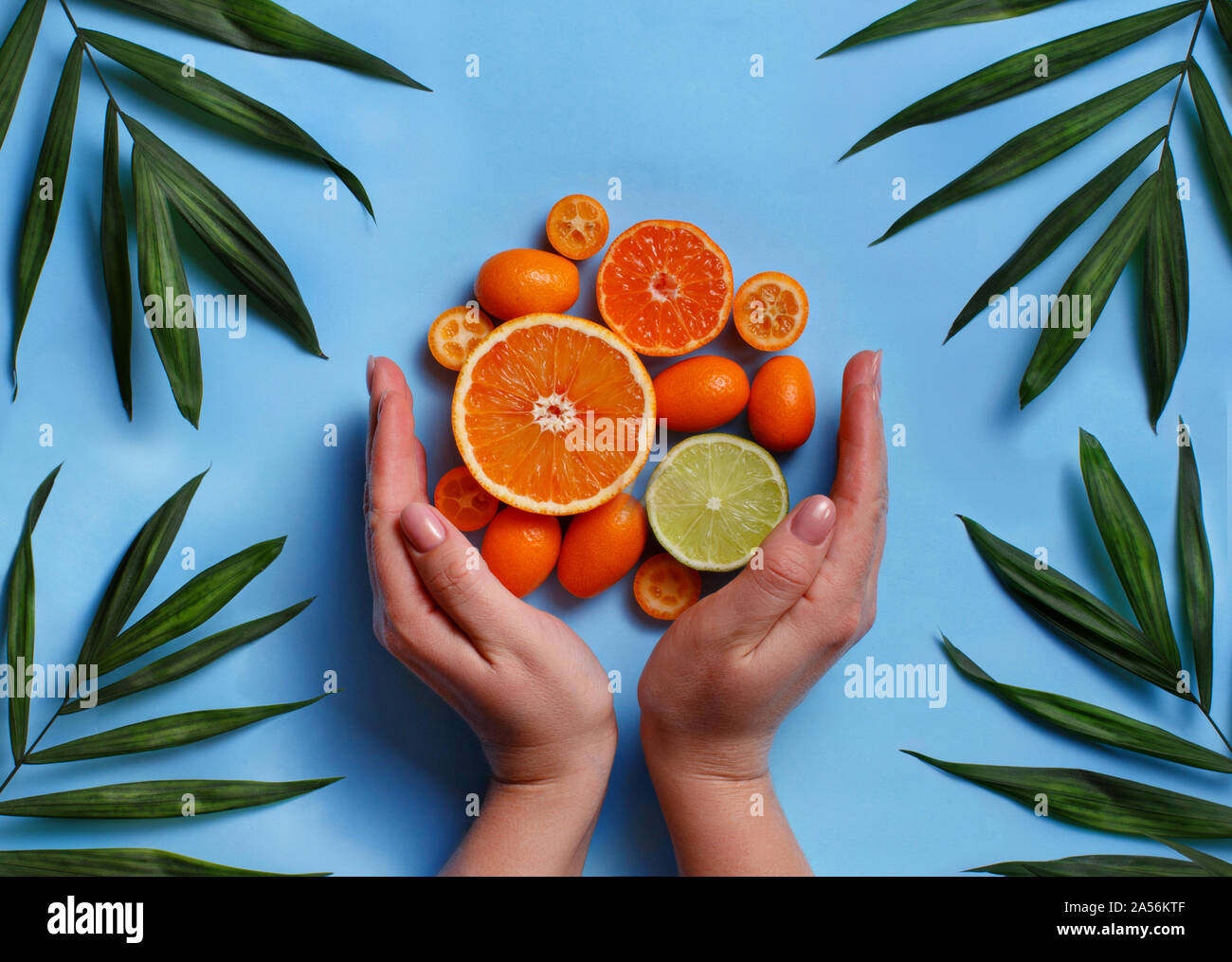 Citrus fruits with hands on a blue background top view Stock Photo - Alamy