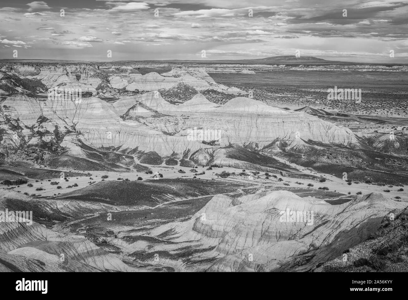 Petrified wood blue mesa Black and White Stock Photos & Images - Alamy