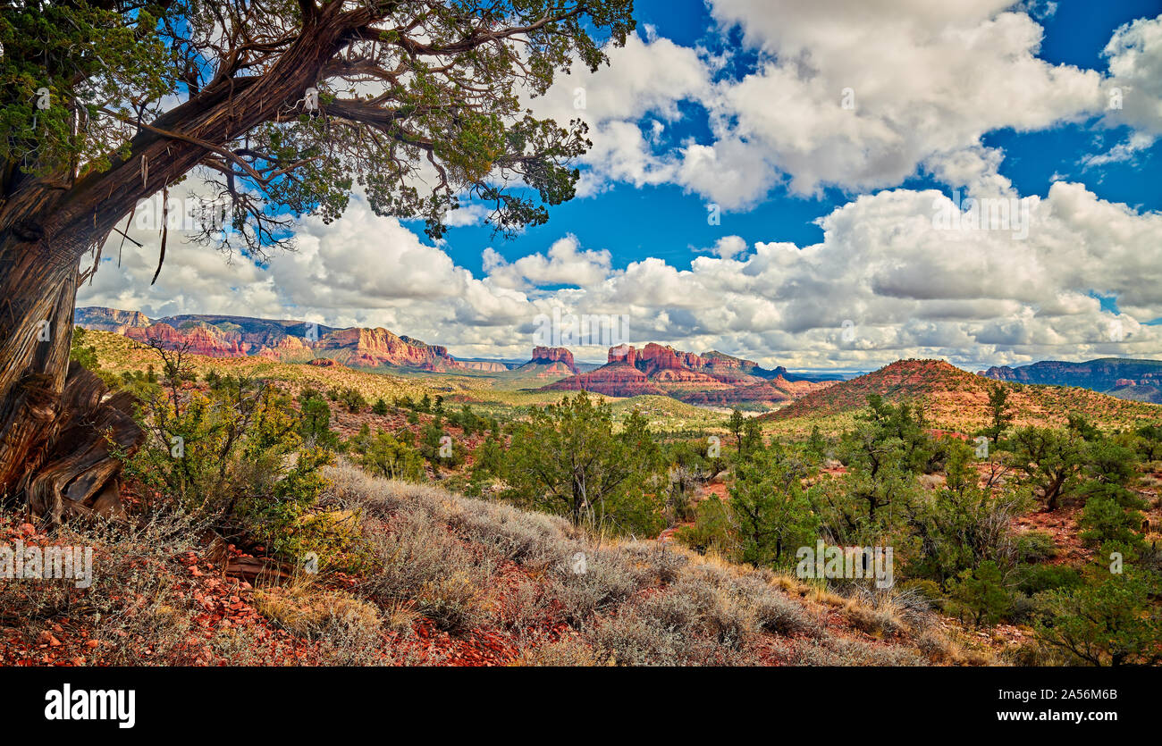 Beautiful towering red rock hi-res stock photography and images - Alamy