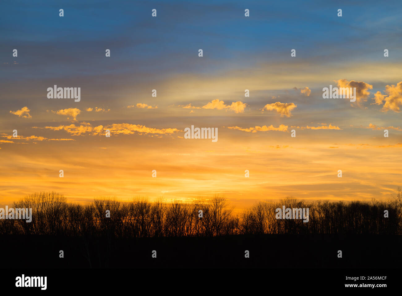 Kentucky tree line hi-res stock photography and images - Alamy
