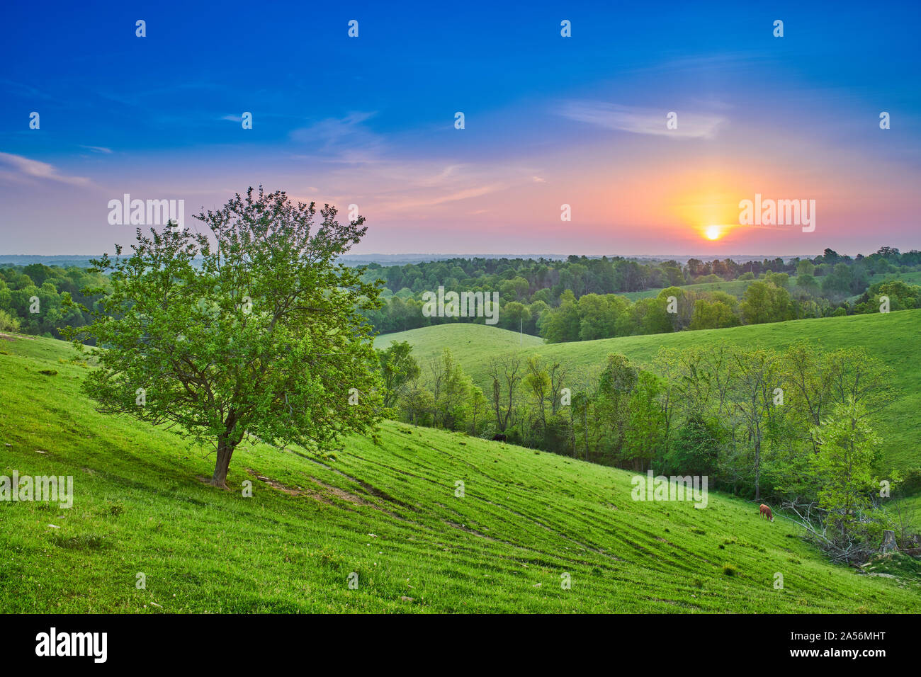 Sunrise over field hi-res stock photography and images - Alamy