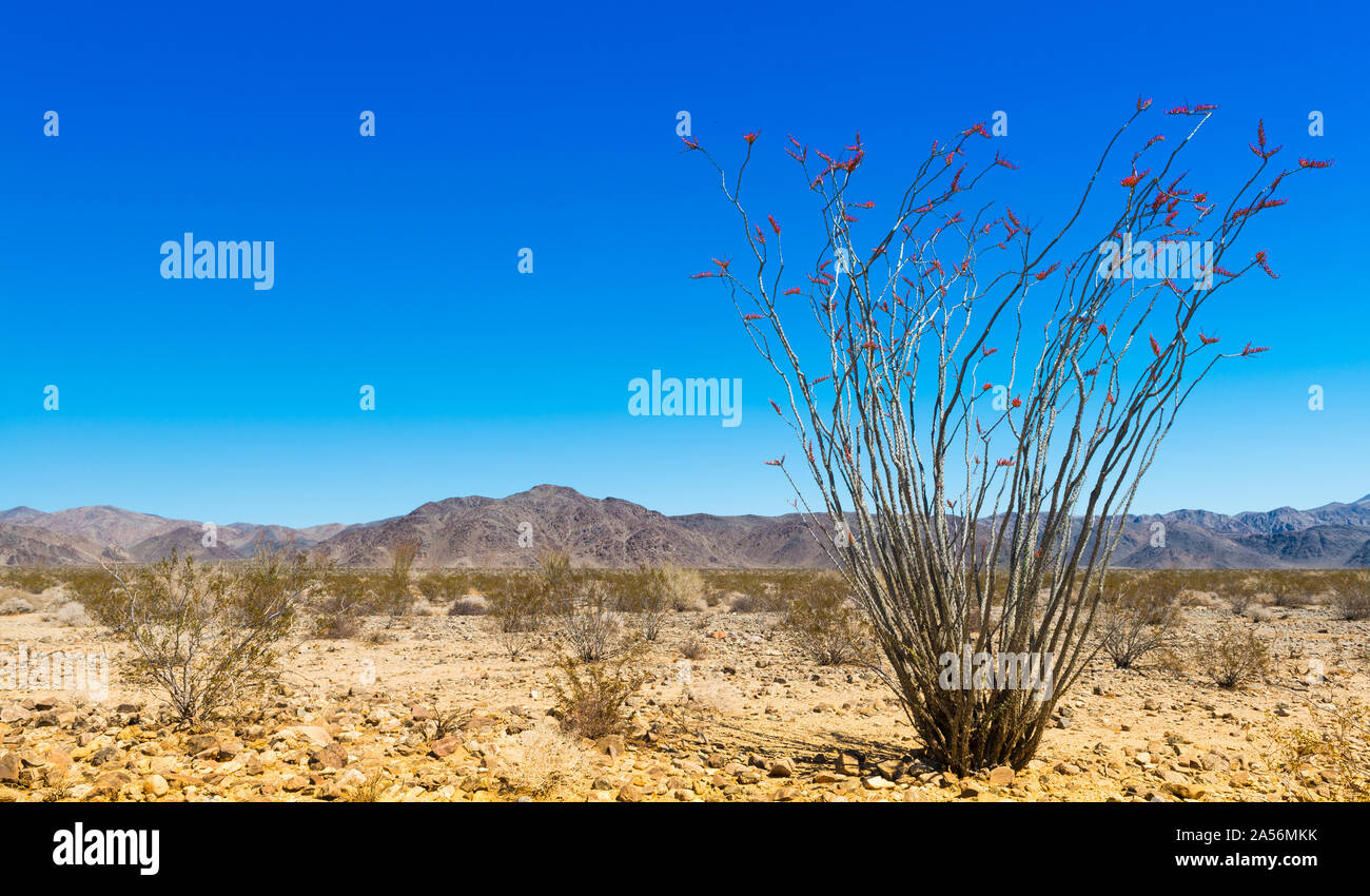Pinto mountains hi-res stock photography and images - Alamy