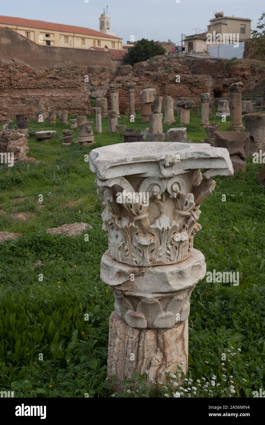Old Corinthian column on the ancient Roman site of Cherchell, Algeria ...