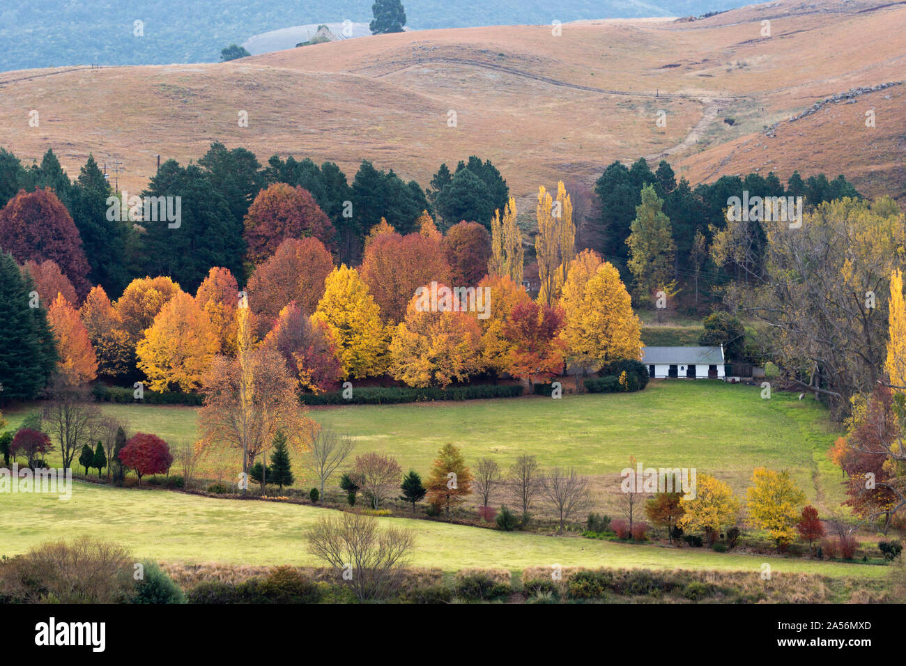 Stable autumn colors in hi-res stock photography and images - Alamy