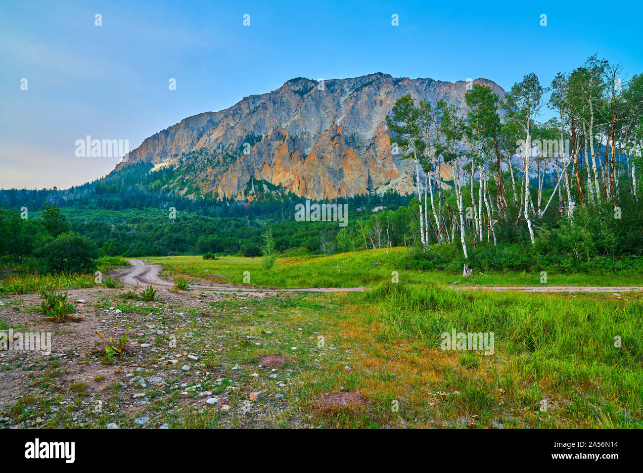 Marcellina hi-res stock photography and images - Alamy