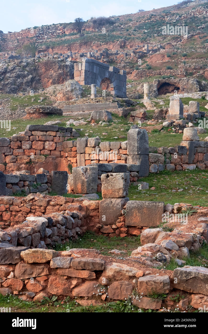 Tiddis algeria hi-res stock photography and images - Alamy