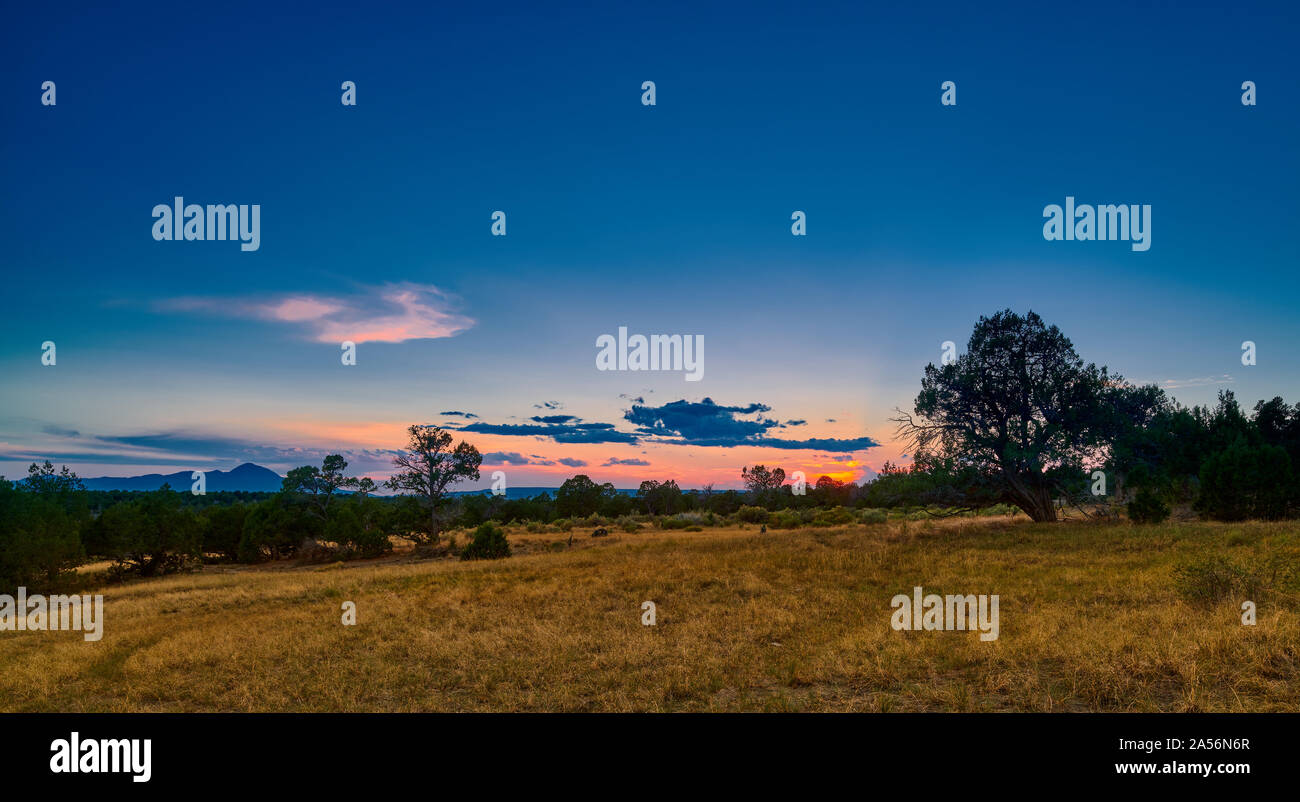 Sunrays open field hi-res stock photography and images - Alamy