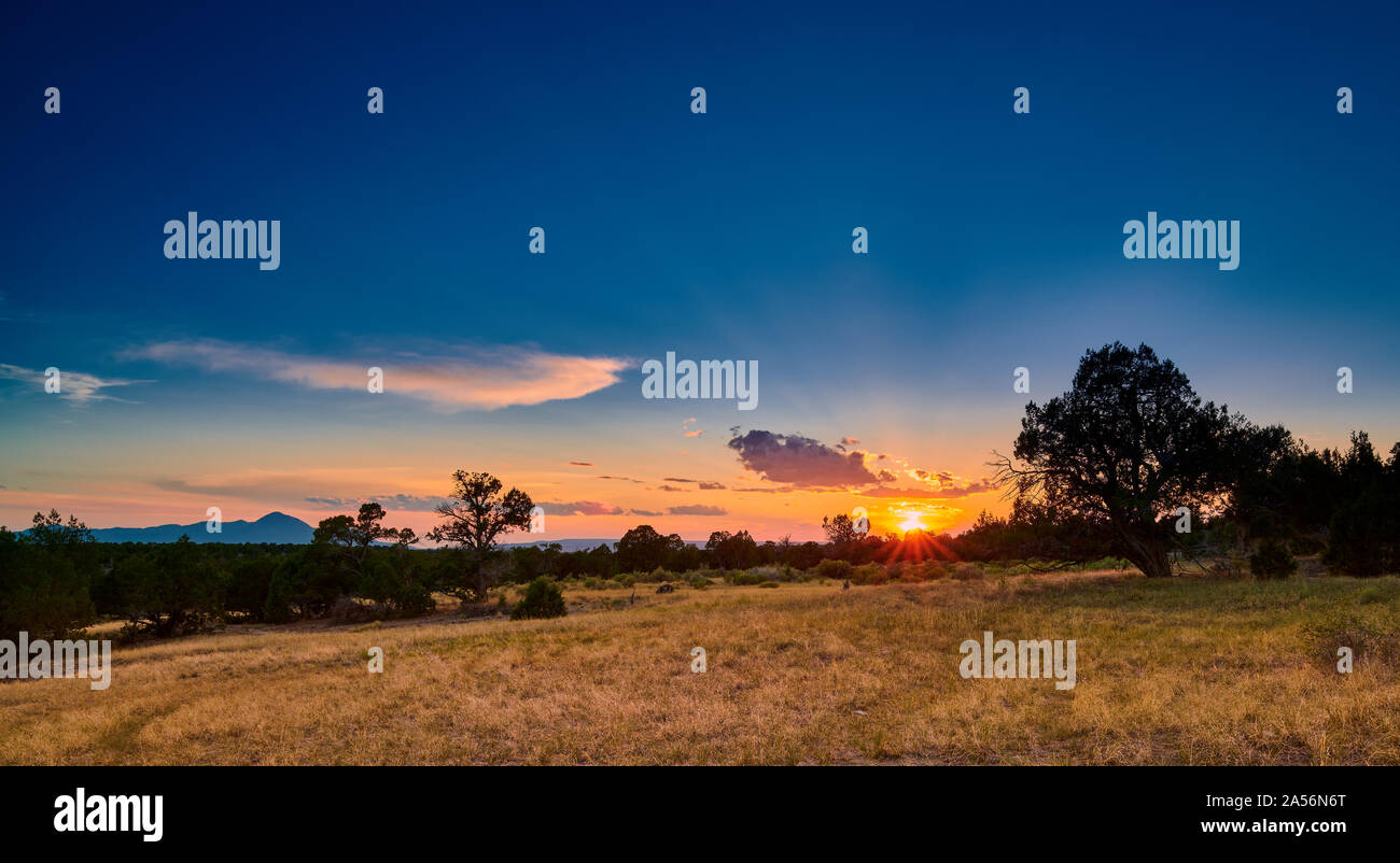 Sunrays open field hi-res stock photography and images - Alamy
