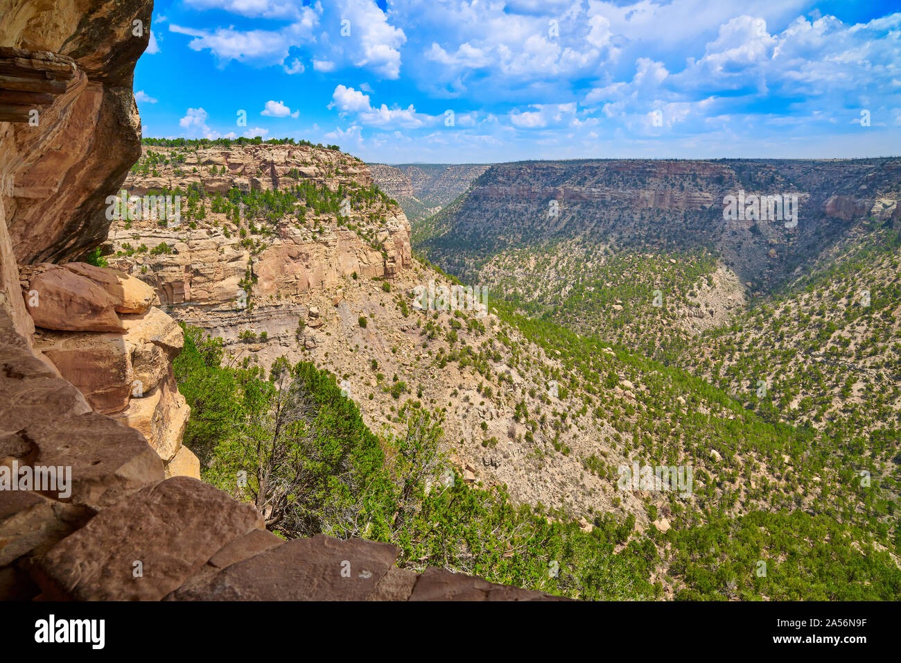 Verda hi-res stock photography and images - Alamy