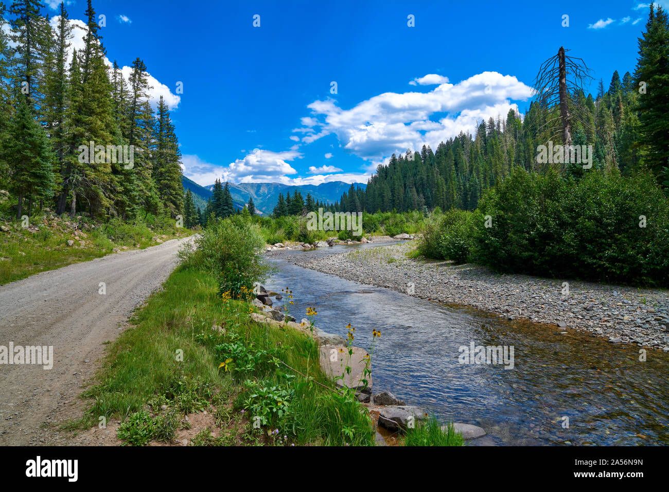 Stream with gravel hi-res stock photography and images - Alamy