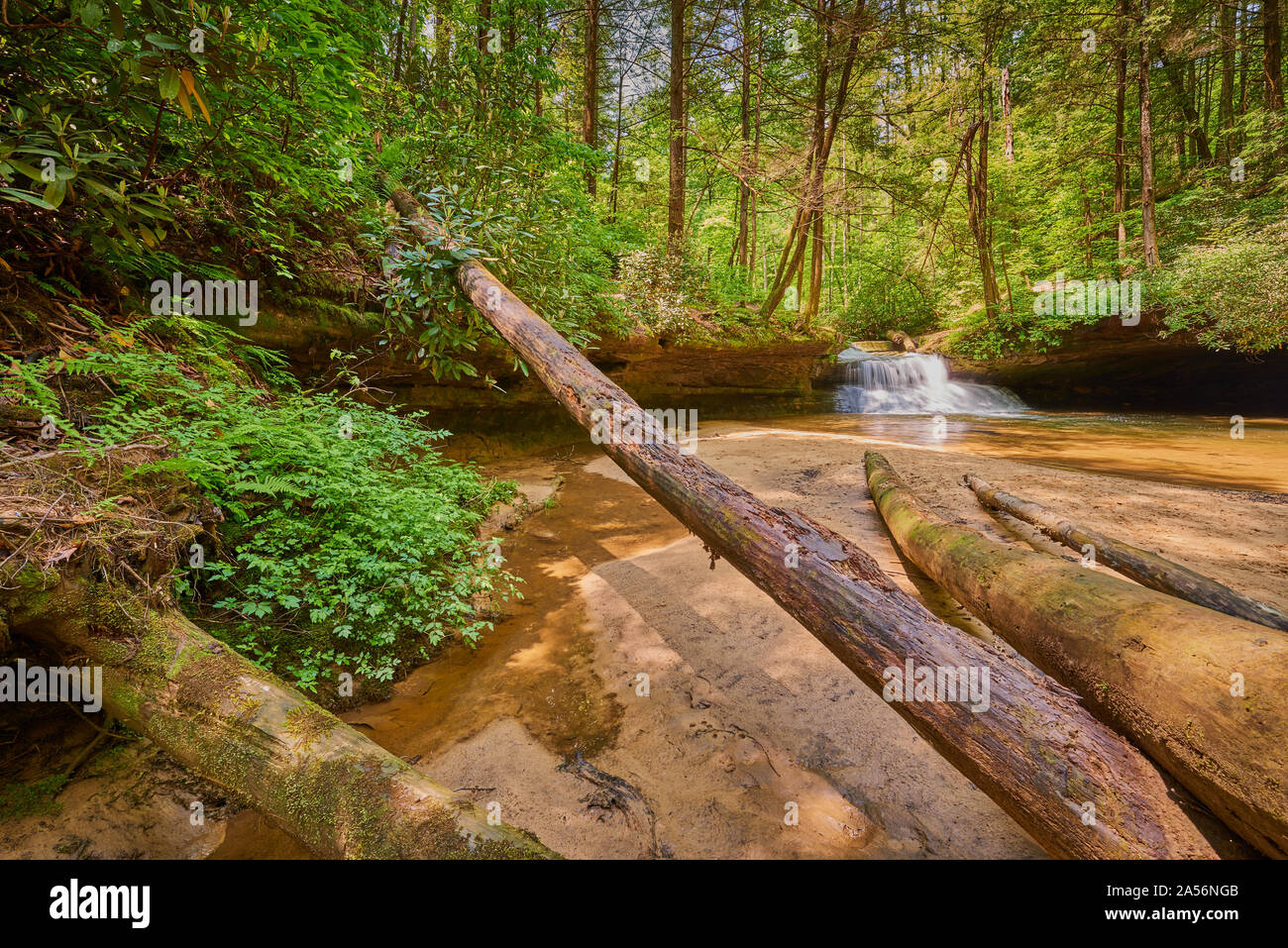 Creation Falls, Red River Gorge KY Stock Photo - Alamy