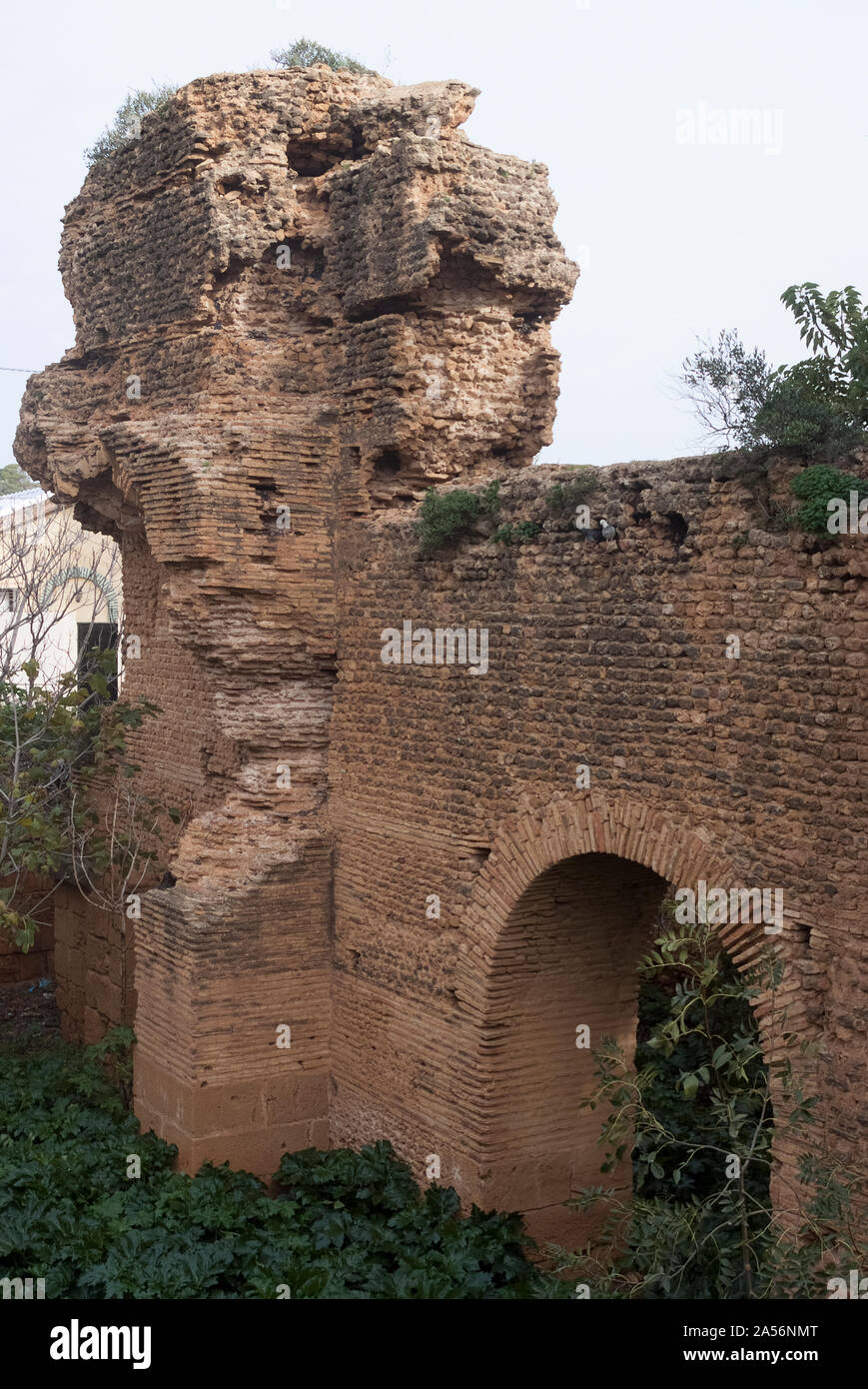 The Grand Thermes, or Great Baths, remains of the enormous bathing ...