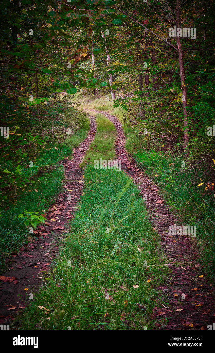 Off Road Trail Stock Photo - Alamy