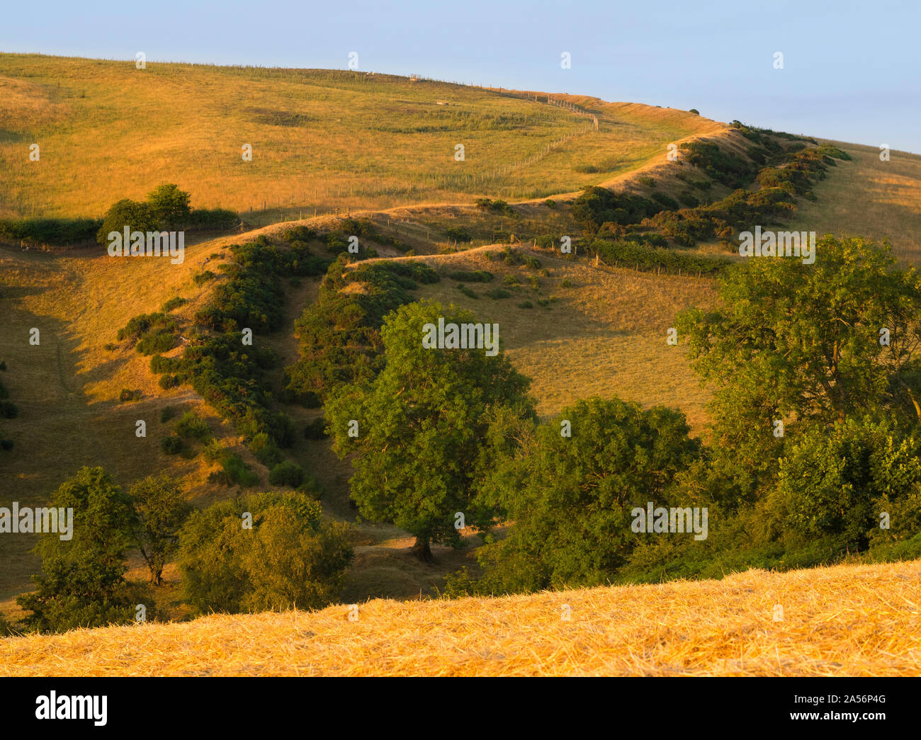 Early morning light on Offa's Dyke path near Newcastle on Clun ...