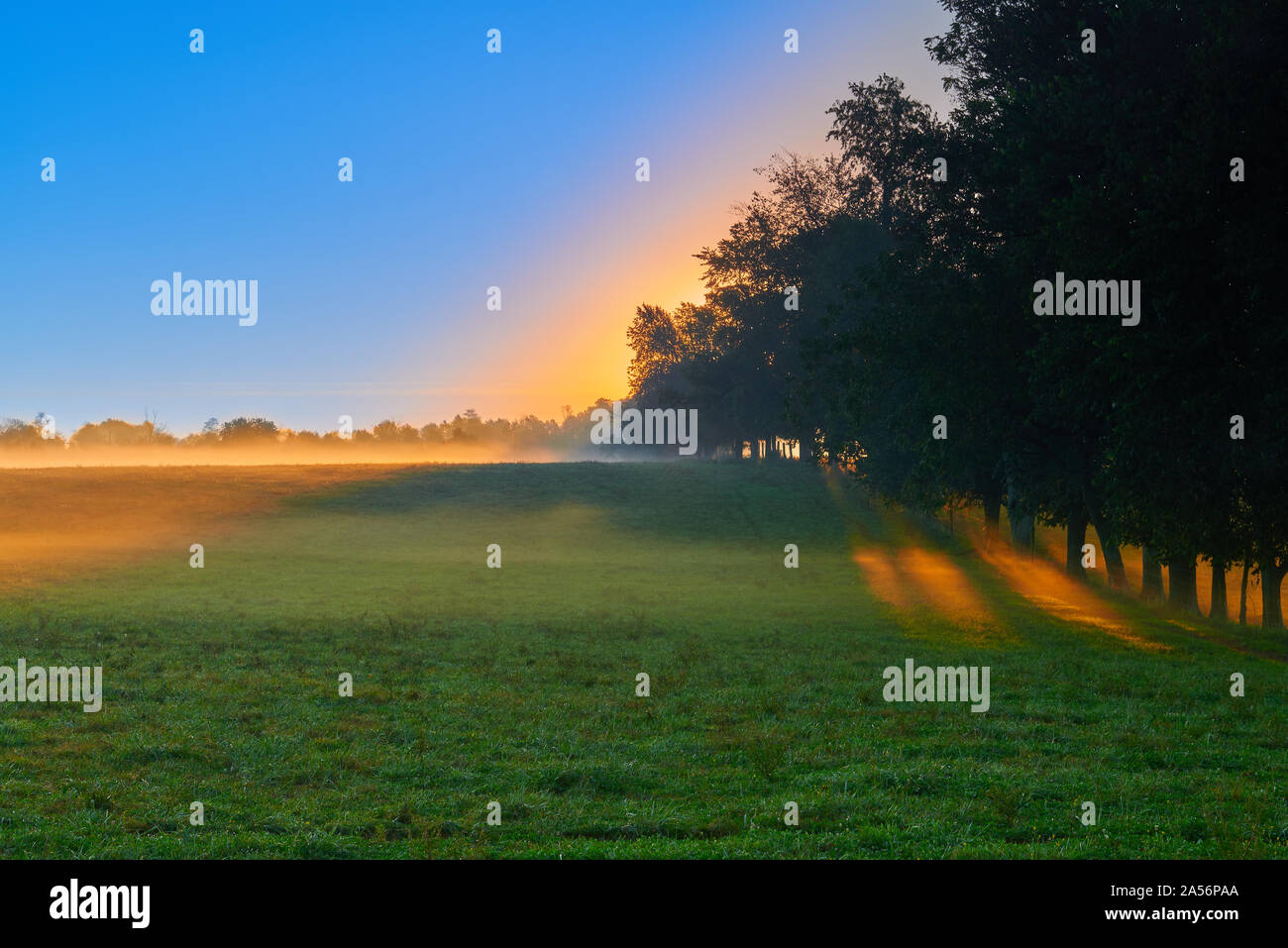 Sunrise on Open Field Stock Photo - Alamy