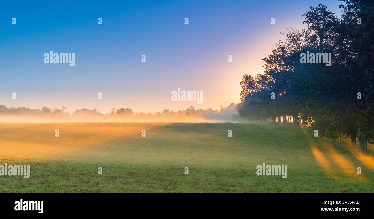 Tree trees farm land dawn hi-res stock photography and images - Alamy