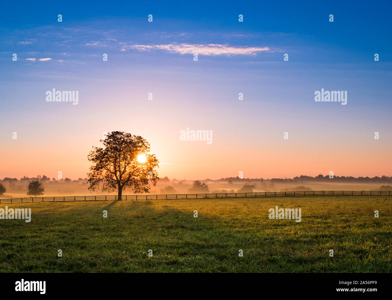 Sunshine sunrise hi-res stock photography and images - Alamy