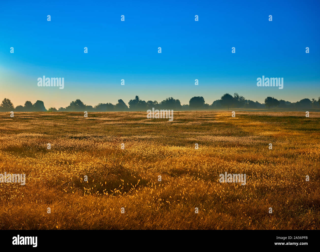 Open grassy field hi-res stock photography and images - Alamy