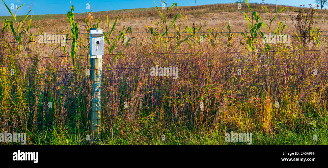 Bluebird Box on Fence Post Stock Photo - Alamy