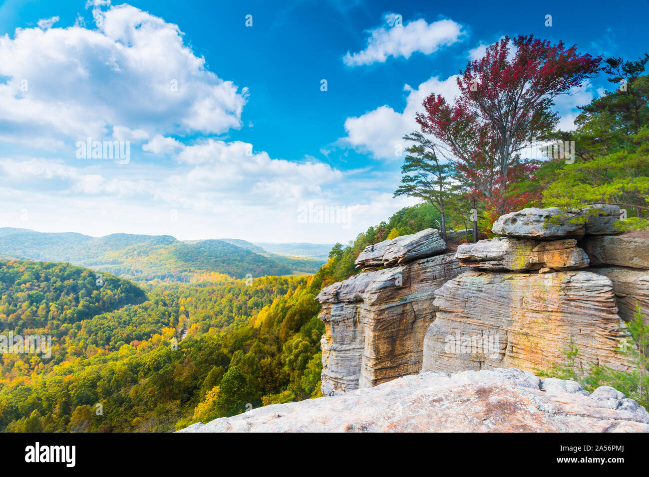 Beautiful Kentucky Landscape
