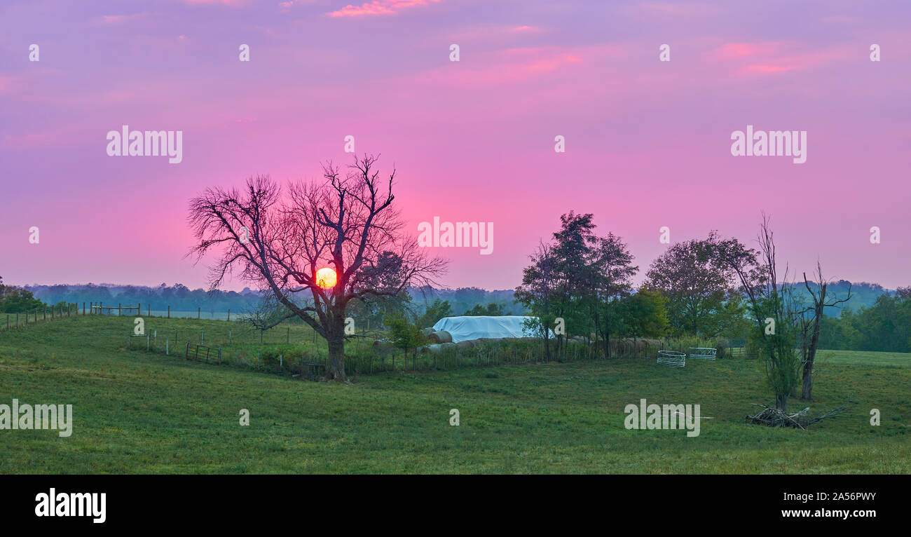 Sunset behind tree hi-res stock photography and images - Alamy
