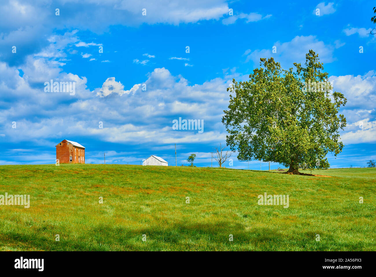 Kentucky scenery hi-res stock photography and images - Alamy