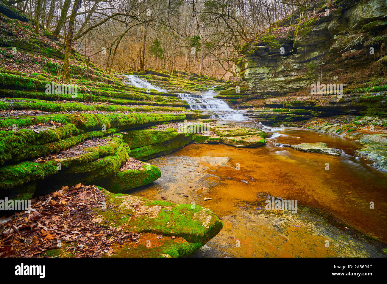 The wild raven walk hi-res stock photography and images - Alamy