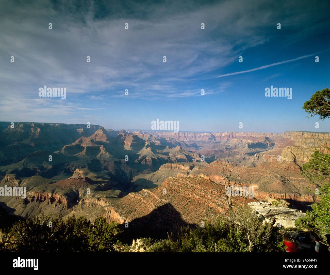 View of the Grand Canyon from the South Rim. Arizona Stock Photo - Alamy