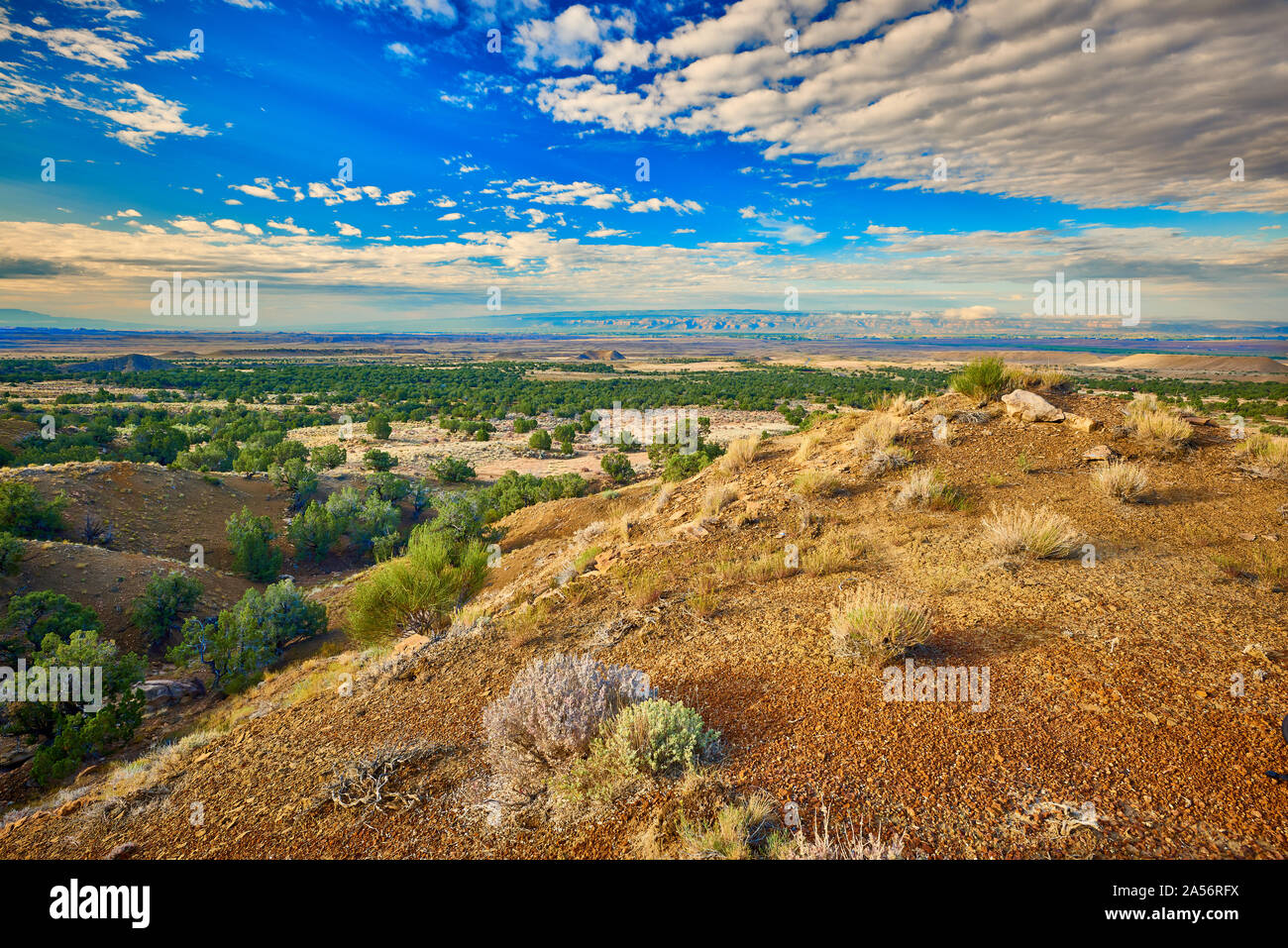 Outdoor desert light and sports hi-res stock photography and images - Alamy