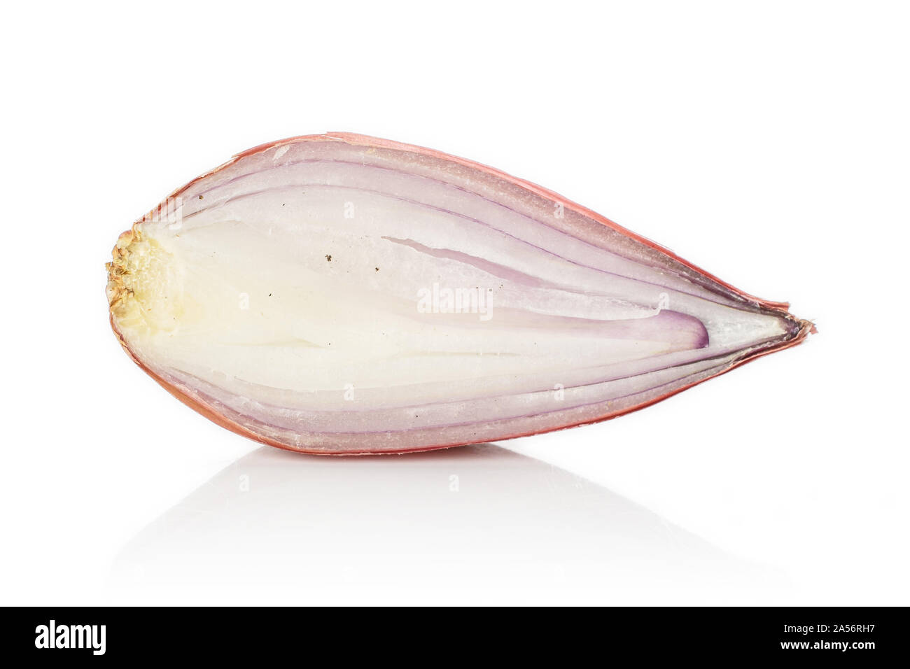 One half of fresh brown shallot isolated on white background Stock ...