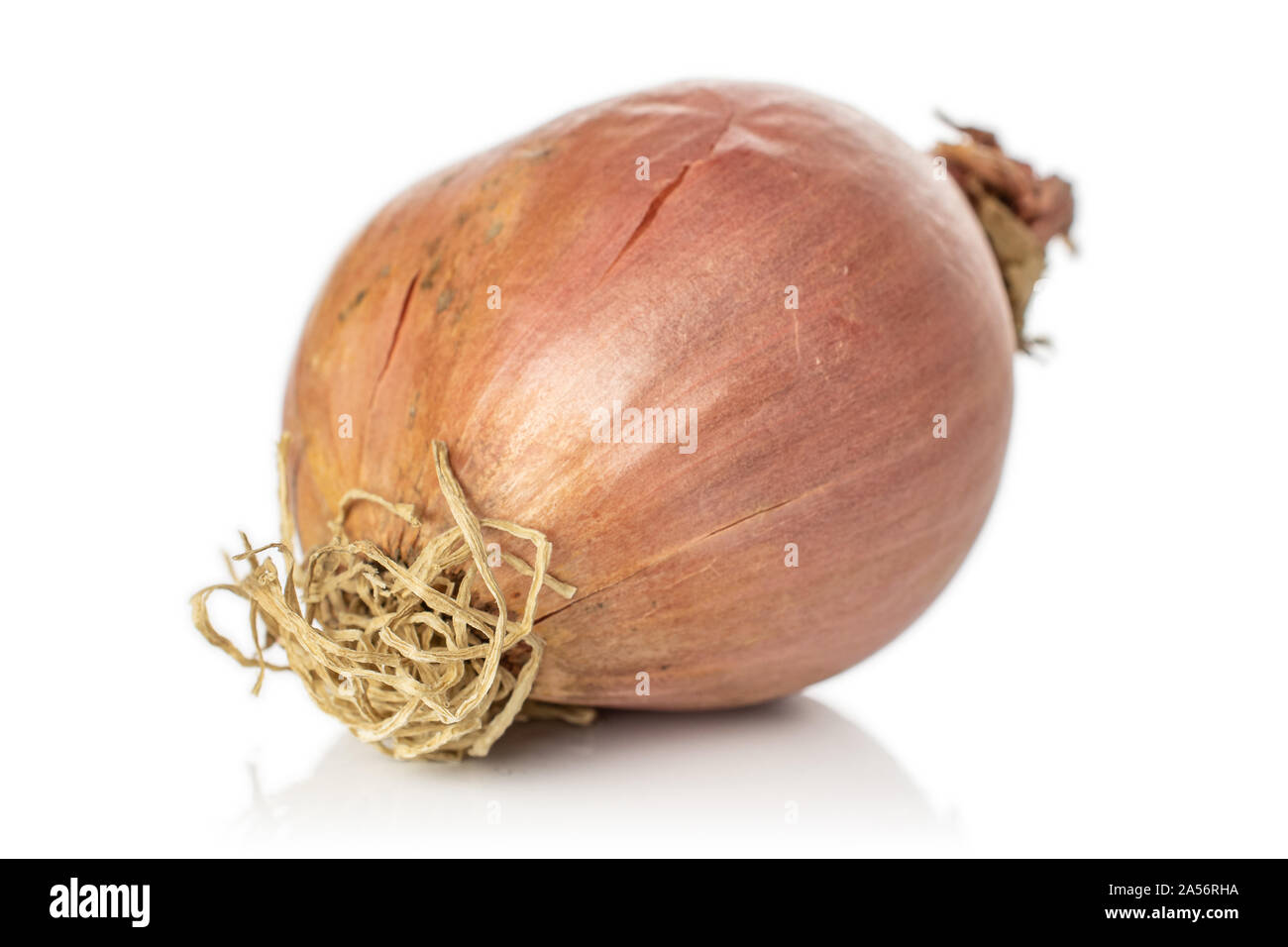 One whole fresh brown shallot isolated on white background Stock Photo ...