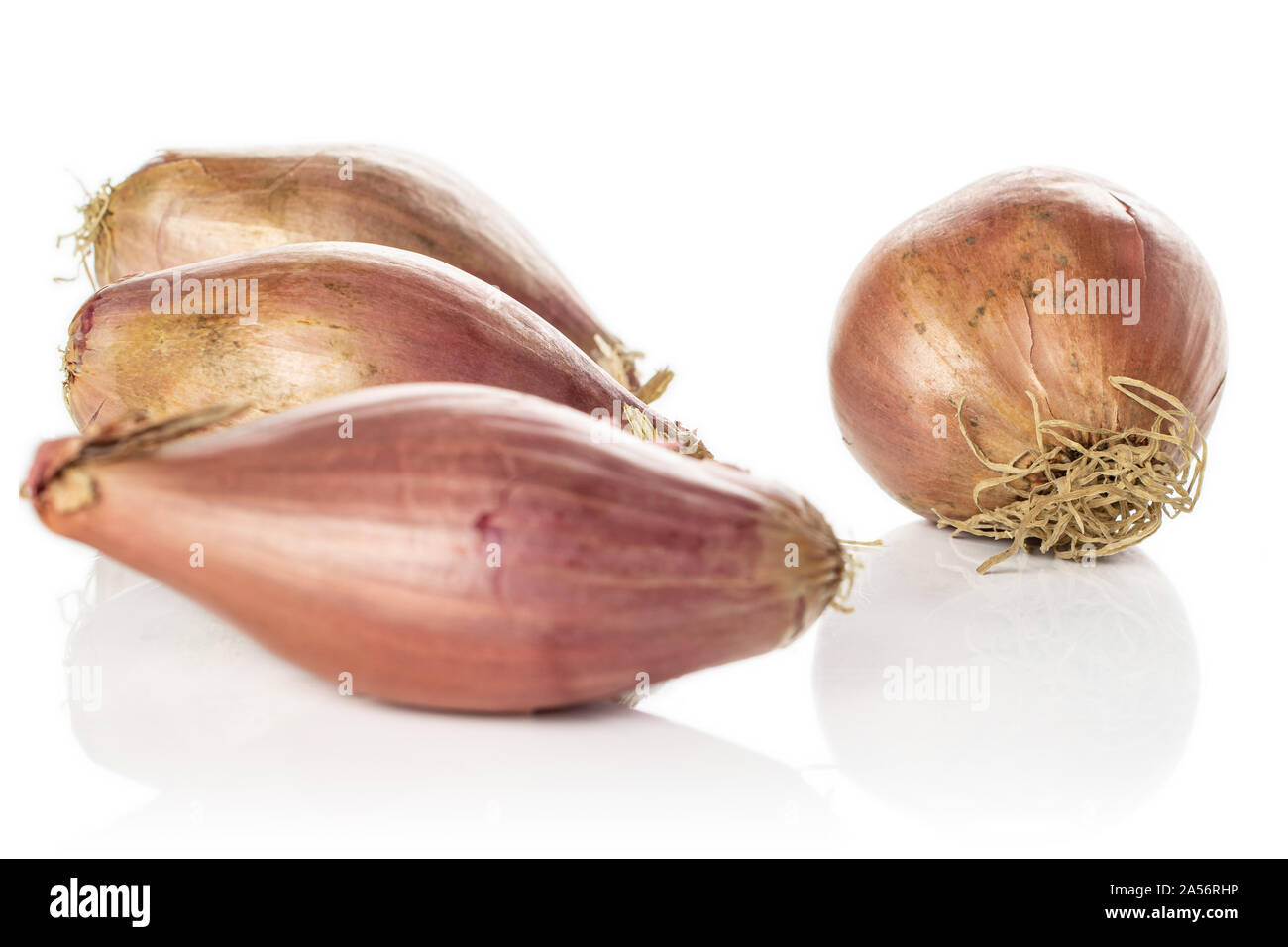 Group of four whole fresh brown shallot isolated on white background ...
