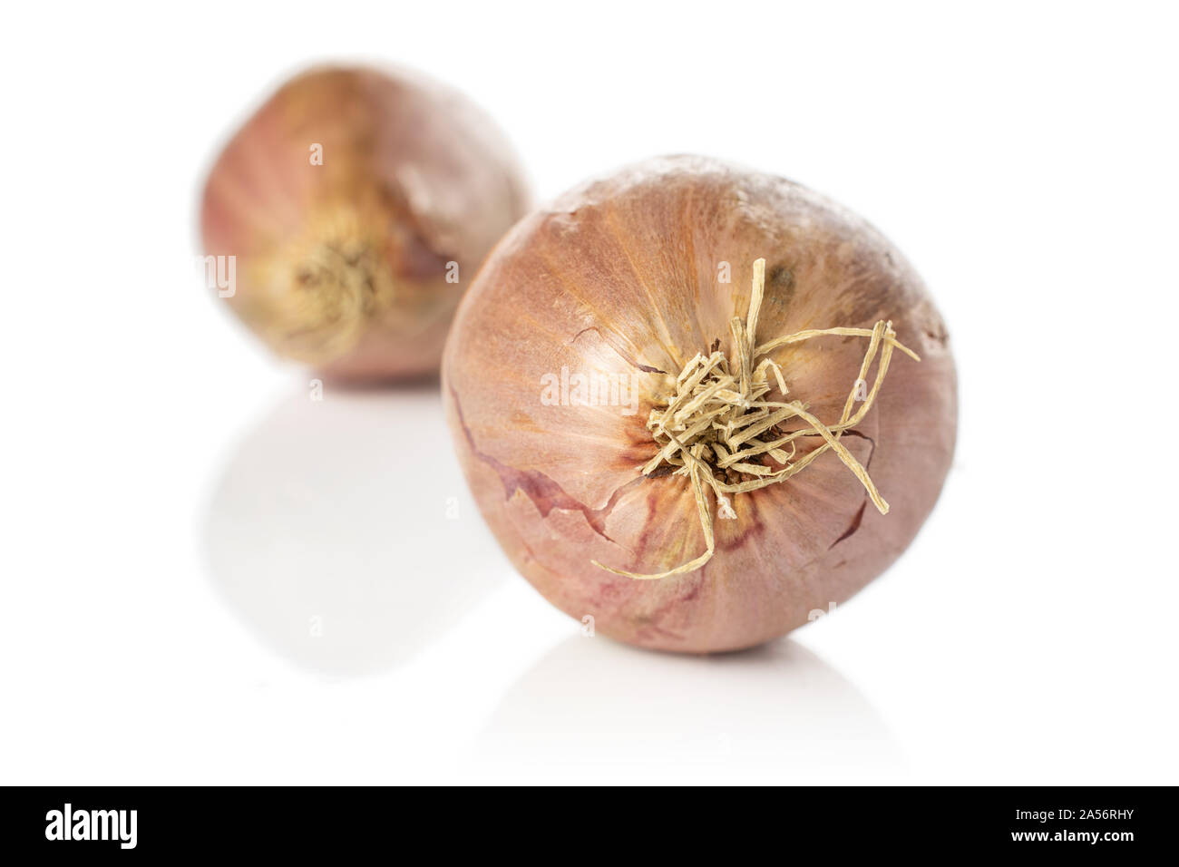 Group of two whole fresh brown shallot front focus isolated on white ...
