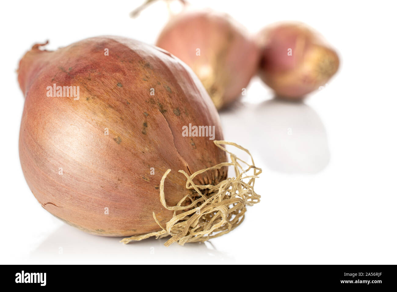 Group of three whole unpeeled fresh brown shallot isolated on white ...