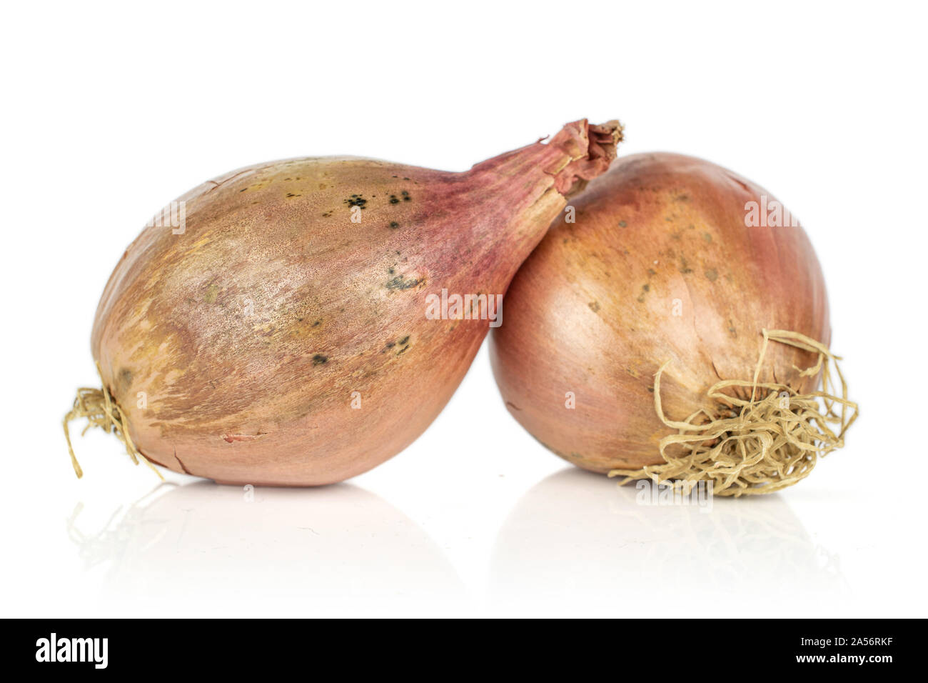 Group of two whole unpeeled fresh brown shallot isolated on white ...